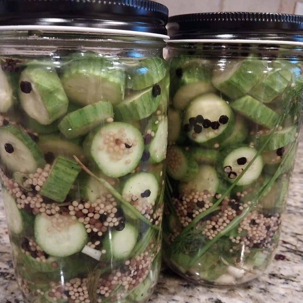 Quick Pickled Persian Cucumbers: A First Step Into The Art of Pickling ...